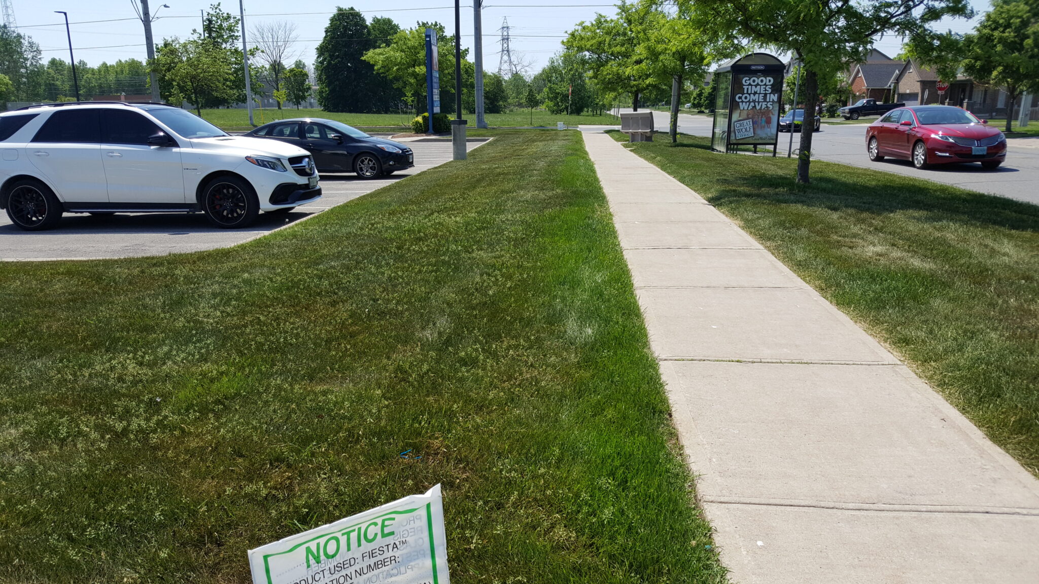 The Hidden Dangers of Monthly Use of FeHEDTA (Fiesta) on Lawns - Stangl ...