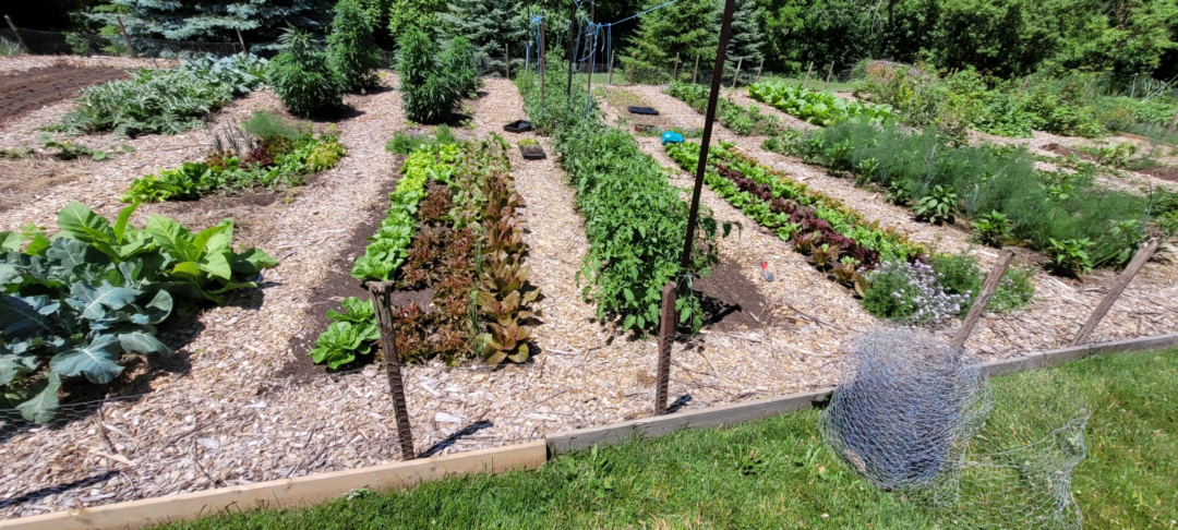 Unlocking the Secrets of Nature's Microbial Symphony: How Healthy Soil ...