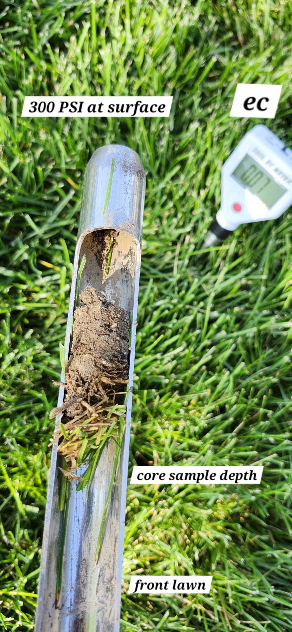 The Hidden Dangers of Compaction in Landscaping: How Nature Hides Our ...
